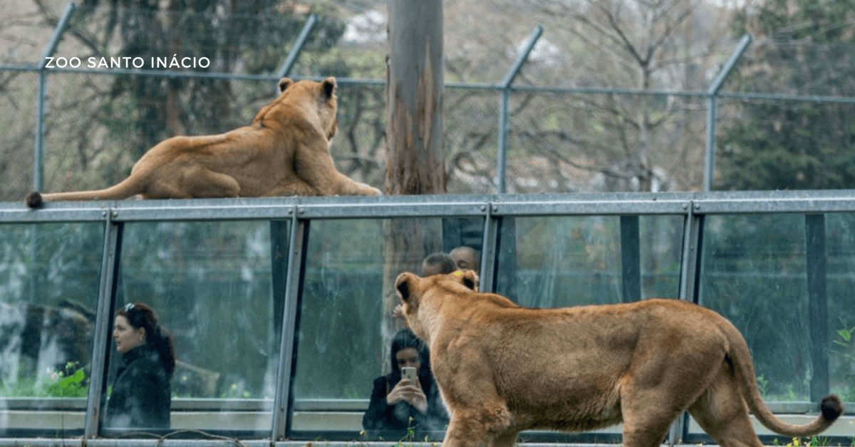 10 passeios para fazer com as crianças em Portugal no verão